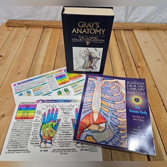 Accents | Grays Anatomy The Class Collectors Edition Rainbowcoded ...